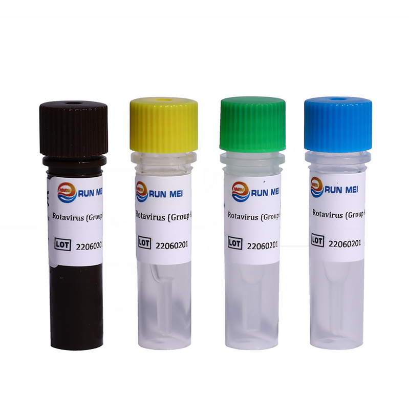 Rotavirus Real Time PCR Detection Kit - Buy Rotavirus, Rotavirus PCR ...
